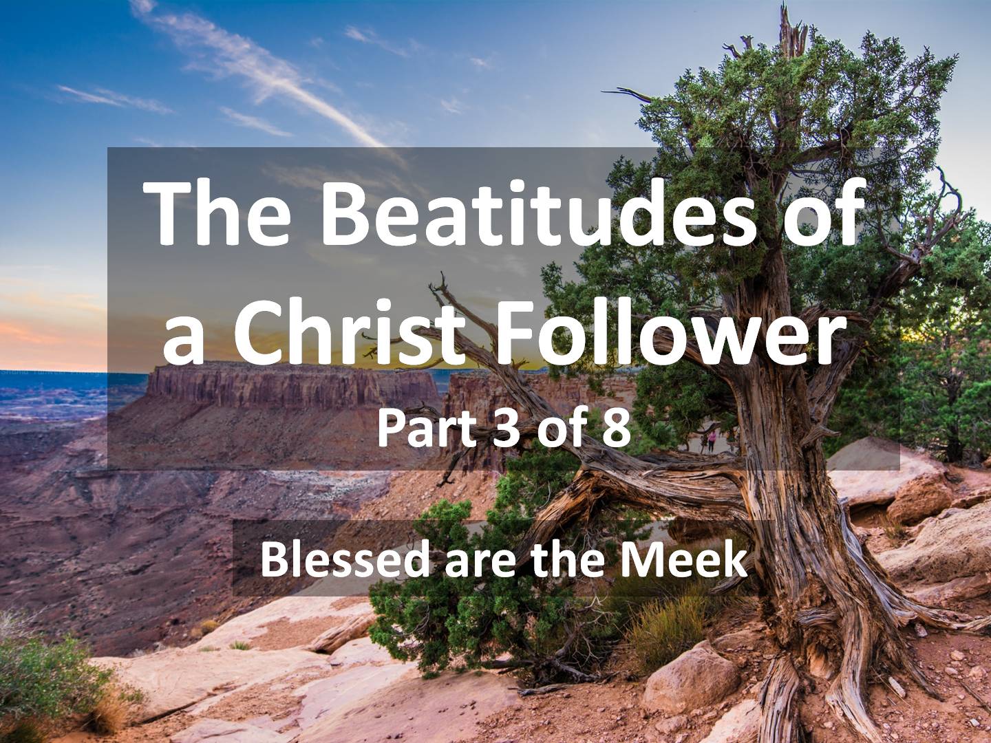 The Beatitudes of a Christ Follower: Meek - Ambassadors 4 Truth